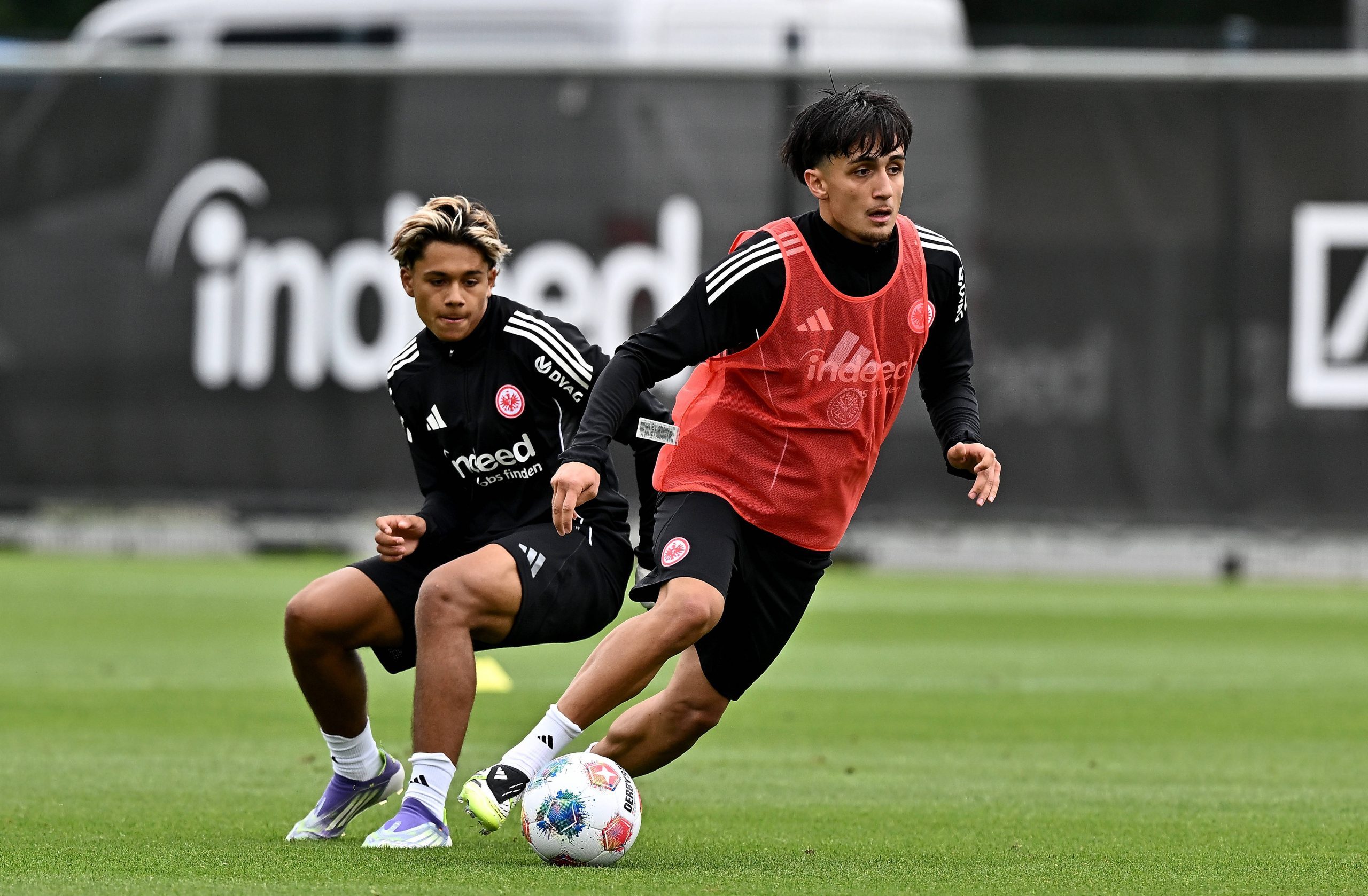 Daisy bae bokep full it was like 8 pm and so I have seen